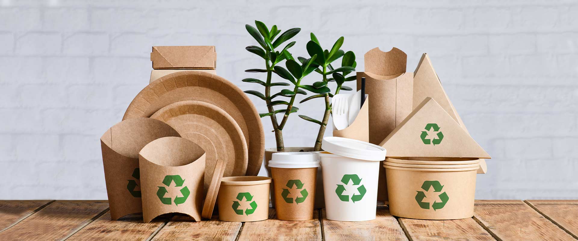 The Paper Pack Company – One Stop Shop